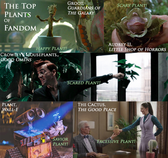 The Top Plants of Fandom